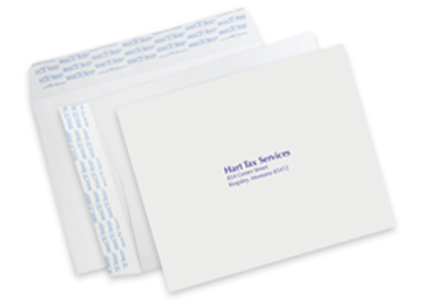 DrawingBoard - 9" x 12" Mailing Envelope || Custom Envelopes || Spot Color